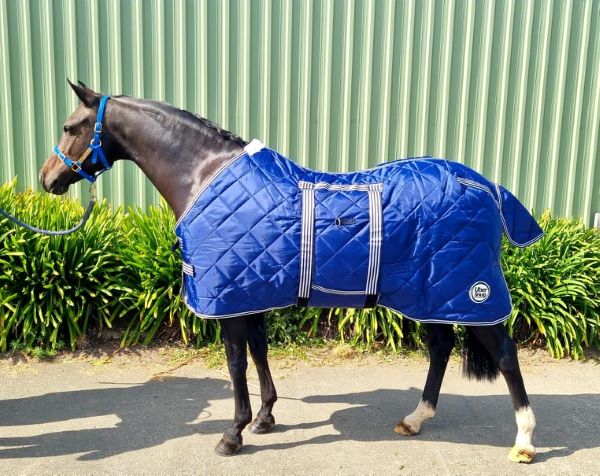 Deluxe Doona Rug - Buckle – UberSnug